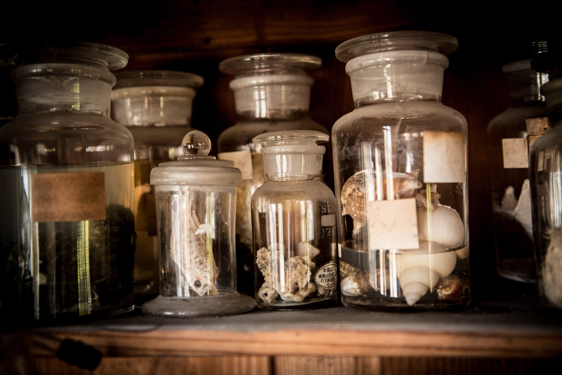 Sakamoto School | Haikyo: Abandoned Japan