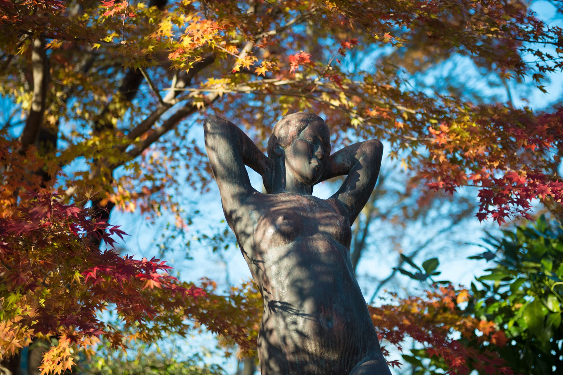 Neko-Sensei School | Haikyo: Abandoned Japan
