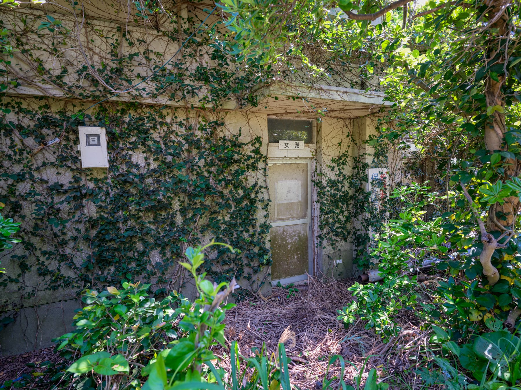 Ikeshima - Haikyo: Abandoned Japan