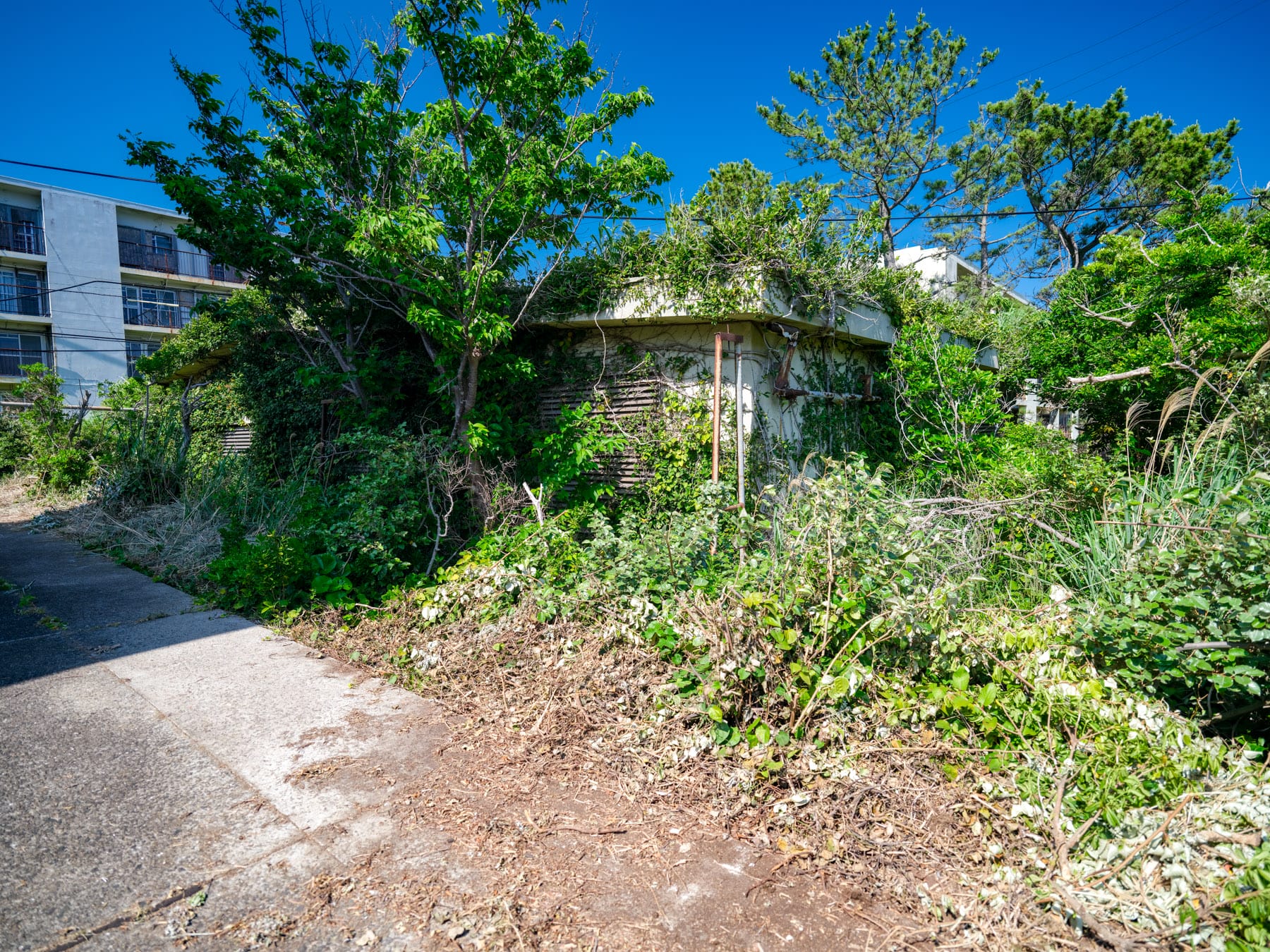Ikeshima - Haikyo: Abandoned Japan